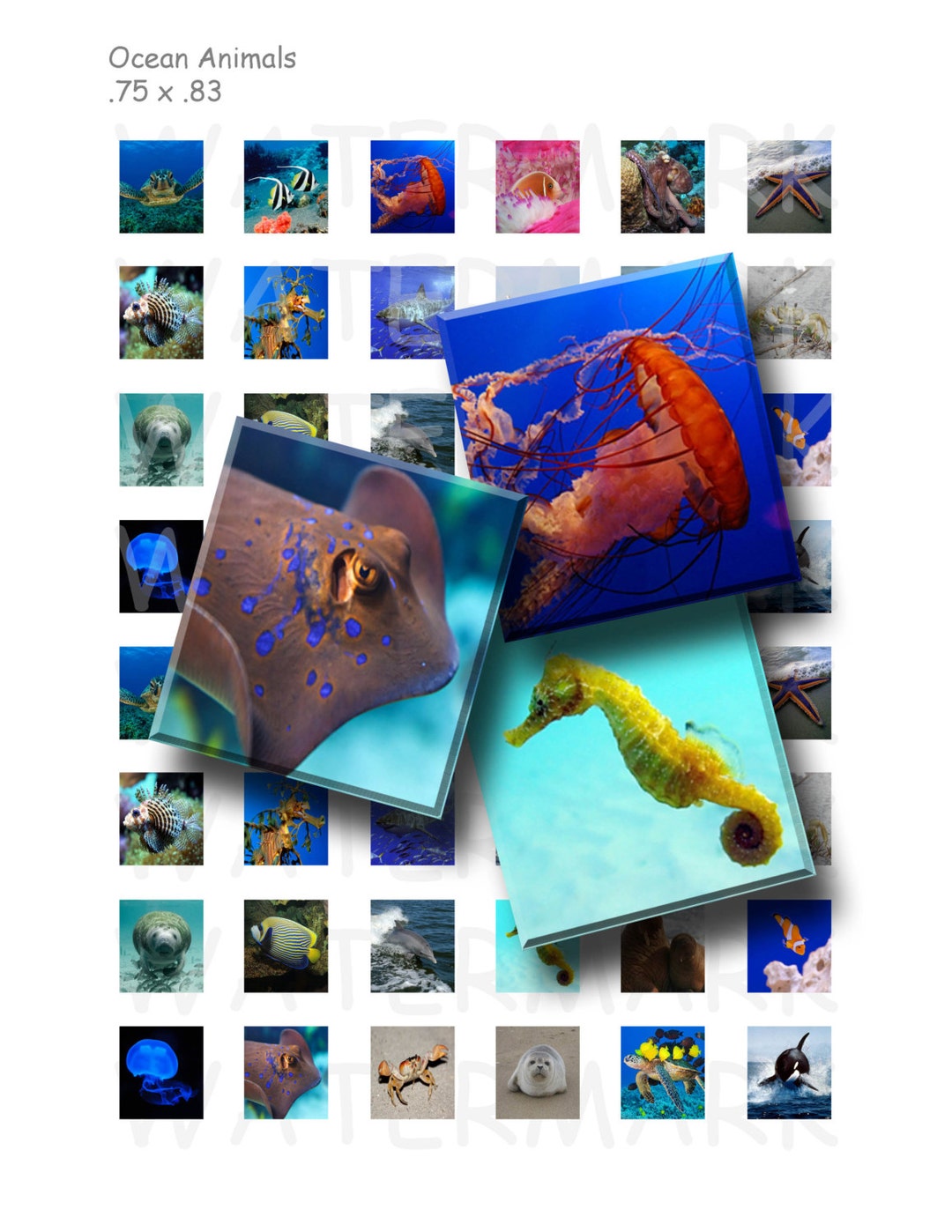 Ocean Animals - Digital Collage Sheet - .75 X .83 Scrabble Size ...