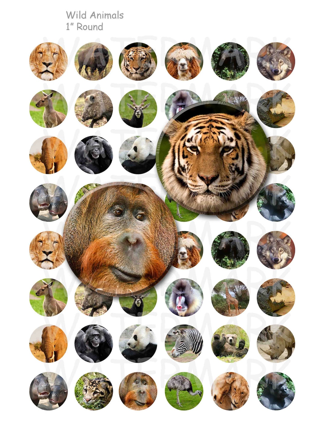 Wild Animals - Digital Collage Sheet - 1 Inch Round Circles - INSTANT ...