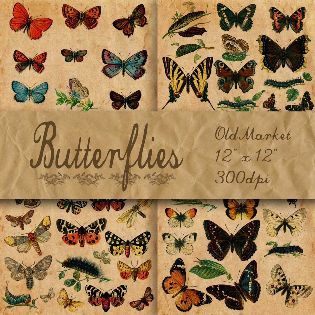 Vintage Butterflies Digital Paper - Butterfly Backgrounds - Scientific ...