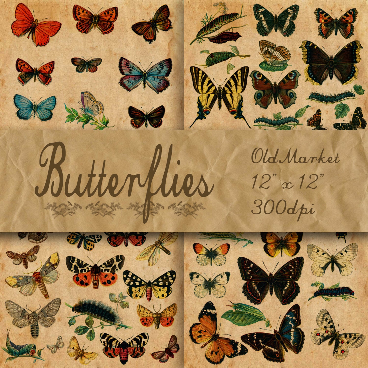 Vintage Butterflies Digital Paper Butterfly Backgrounds - Etsy