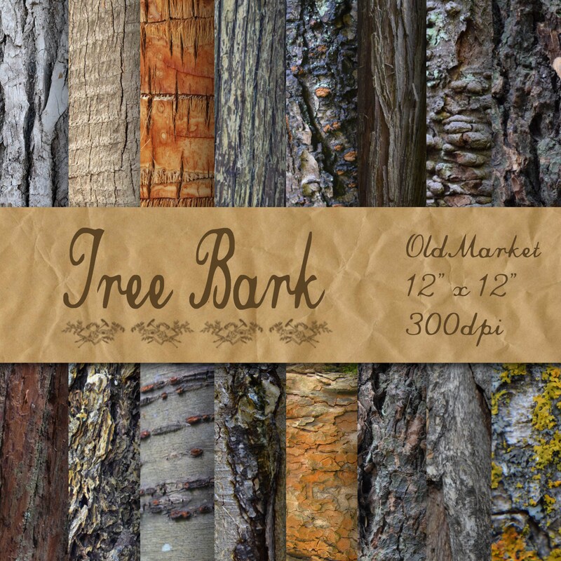 Tree Bark Ring - Etsy