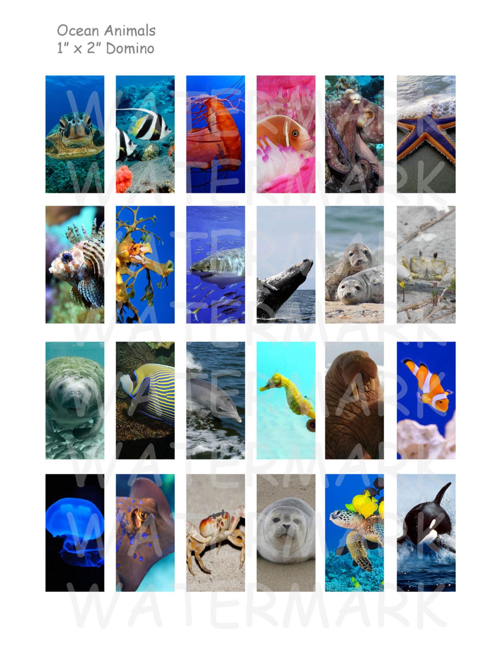 Ocean Animals - Digital Collage Sheet - 1 X 2 Inch Domino - INSTANT ...