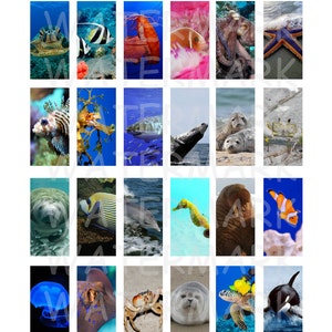 Ocean Animals - Digital Collage Sheet - 1 X 2 Inch Domino - INSTANT ...