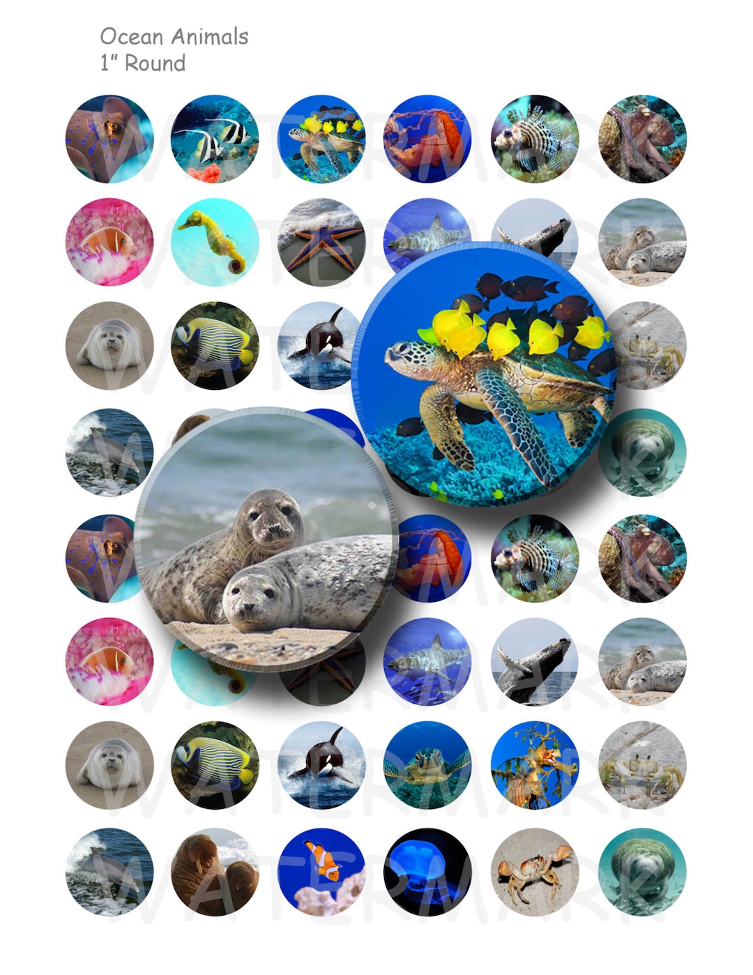 Ocean Animals - Digital Collage Sheet - 1 Inch Round Circles - INSTANT ...