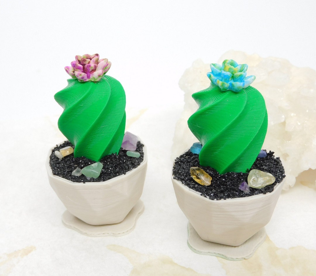 3D Printed Desktop Mini Cactus, Home Decor, Office Gift, Succulent ...