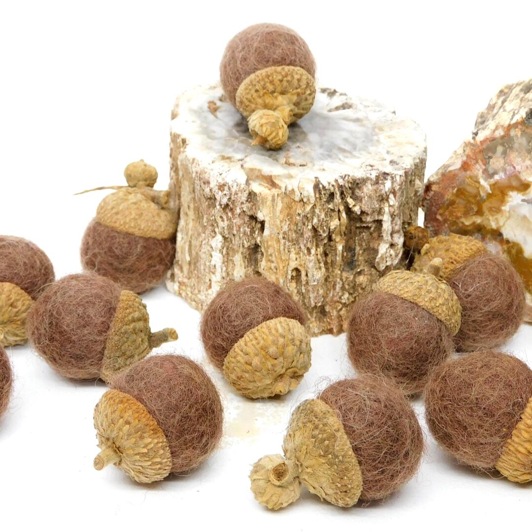 Fall Felted Wool Acorns, Real Acorn Caps, Acorn Ornaments, Rustic Fall ...