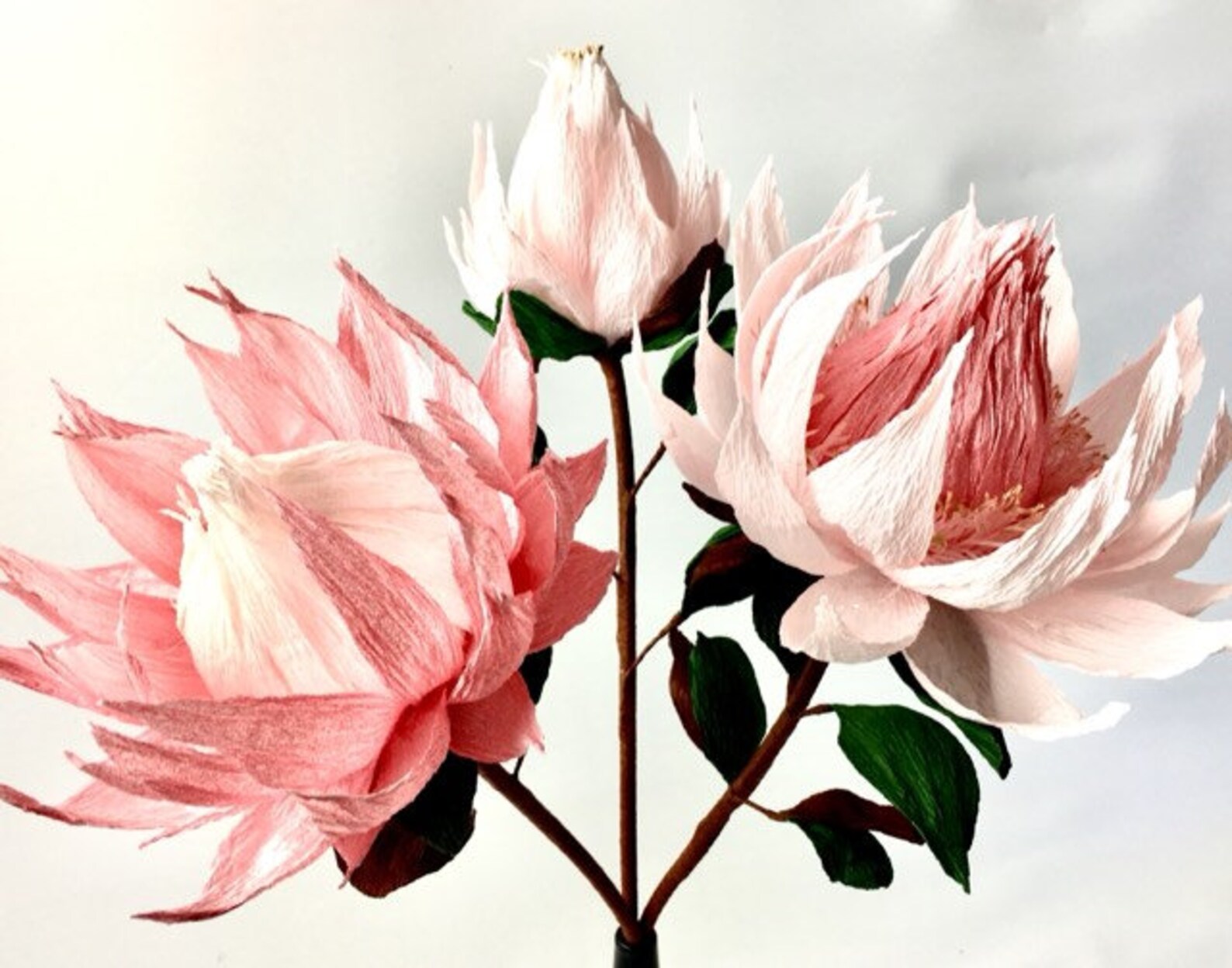 Protea King Crepe Paper Flowers - Etsy