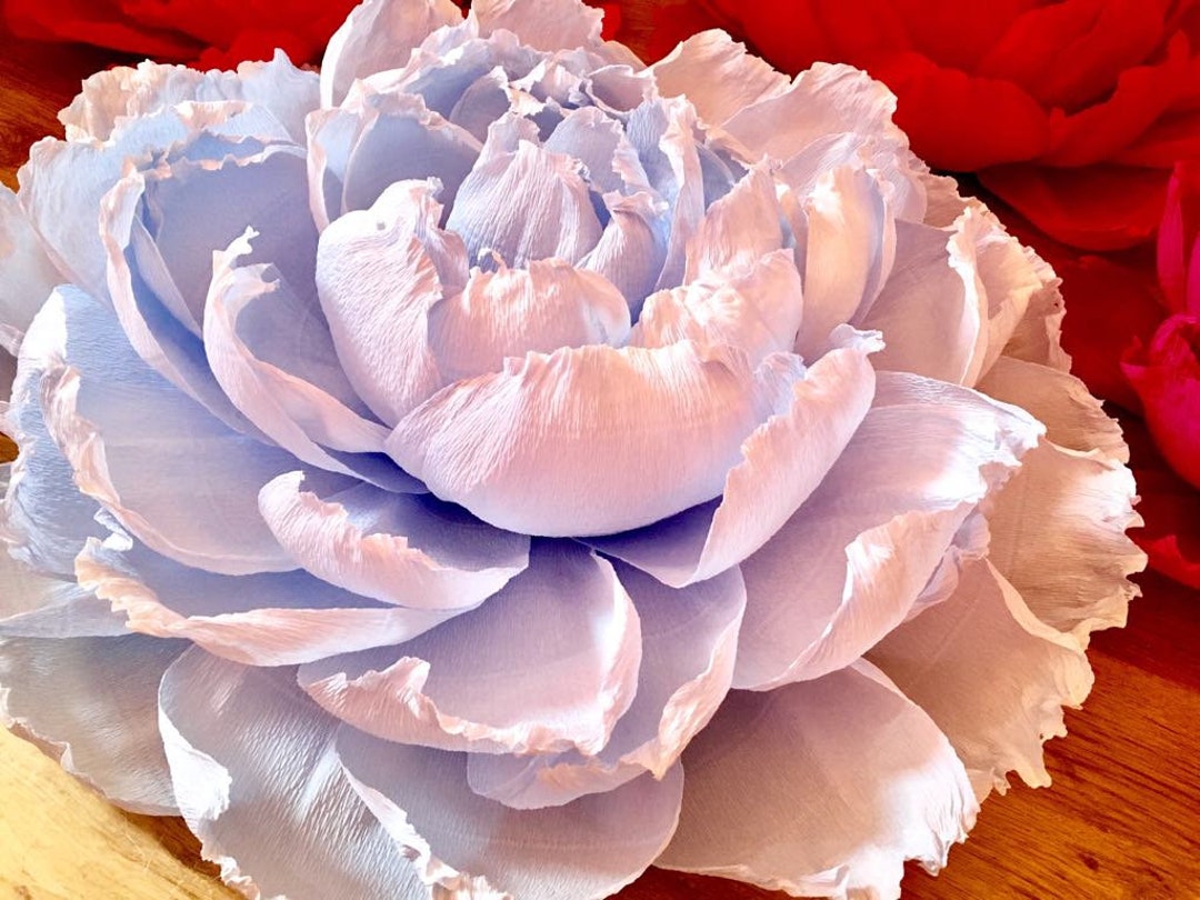 Amazing Gigant Peonies! Wall Decor Paper Peonies, Paper Flowers, Giant ...