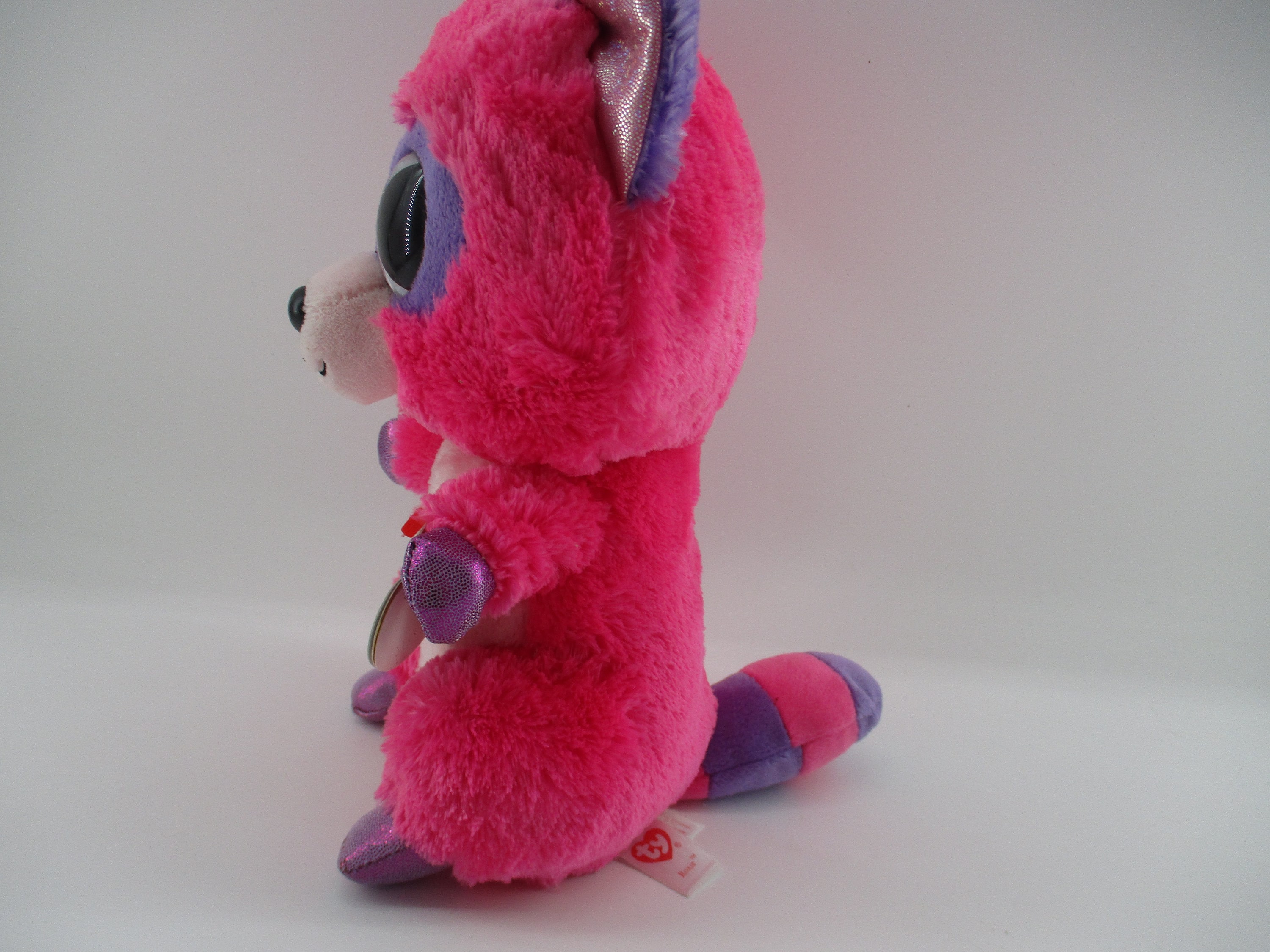 6" Ty Beanie Boo "roxy" Pink and Purple Raccoon, Retired, Mint, Very ...