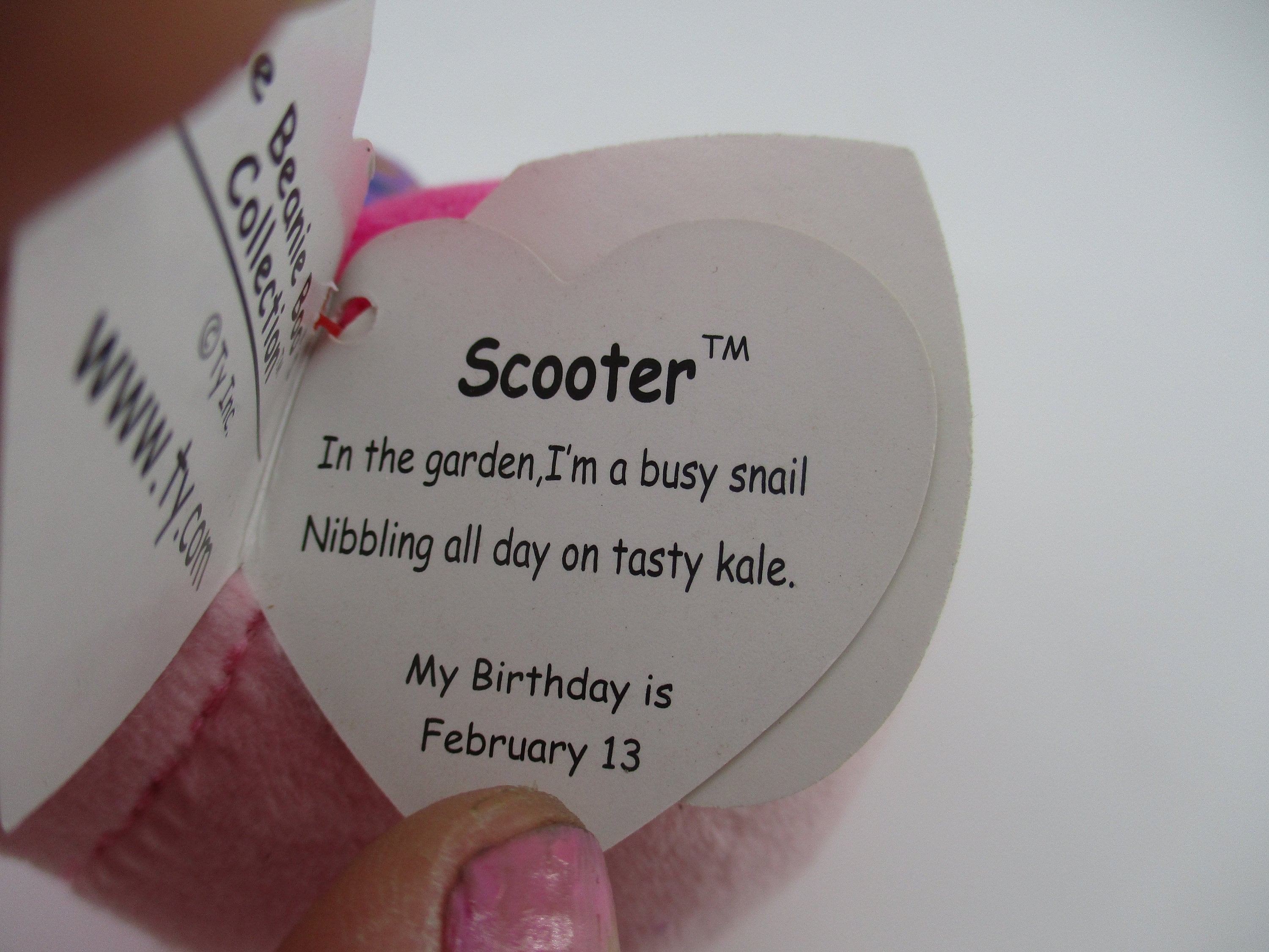 6" Ty Beanie Boo Scooter Snail: Pink & Purple, Retired, Mint; 6". - Etsy