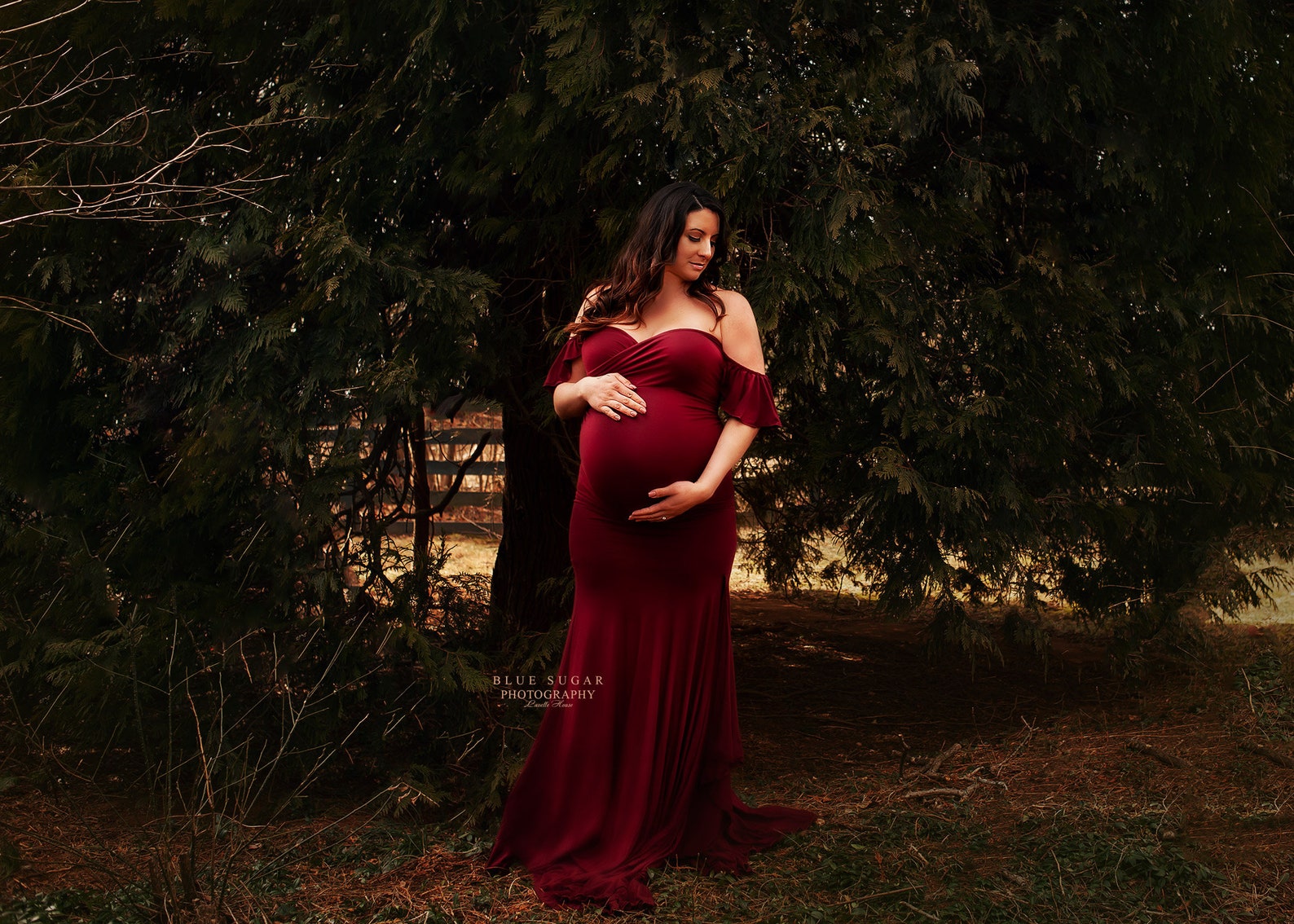 Maternity Gown For Photo Shoot Serenity Gown Fitted Etsy Canada