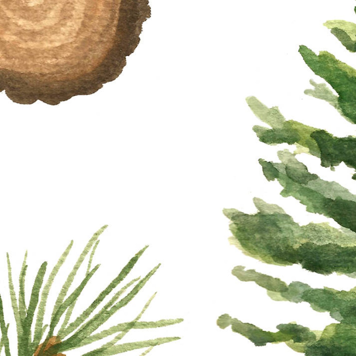 Rustic Watercolor Clip Art Set Pine Tree Painting Wood | Etsy