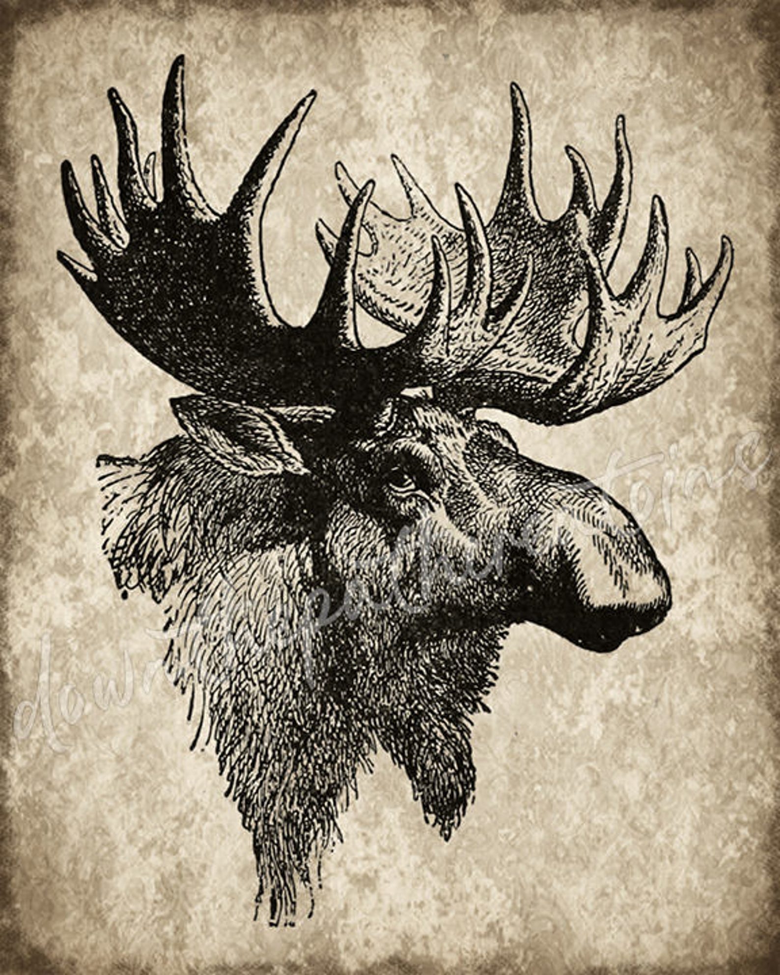 Moose Print Printable Vintage Illustration Instant Download - Etsy