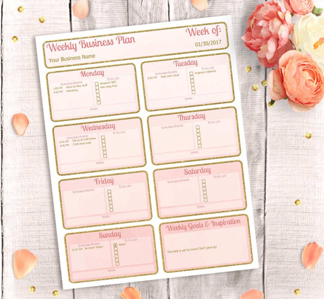 Printable, Editable Weekly Business Plan, Small Business, Instant ...