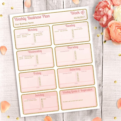 Printable Editable Weekly Business Plan Small Business | Etsy
