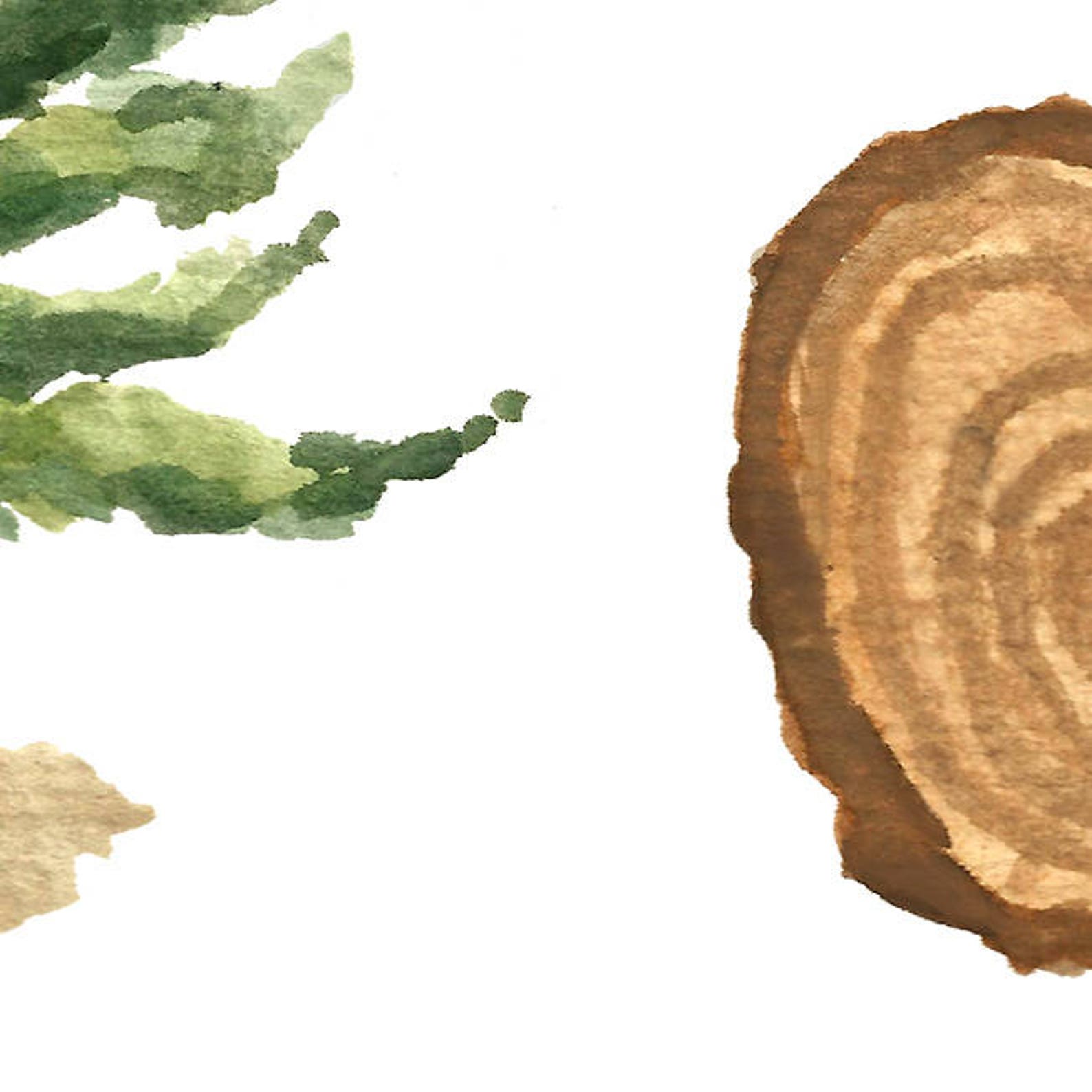 Rustic Watercolor Clip Art Set Pine Tree Painting Wood | Etsy