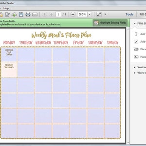 Printable Weekly Meal & Fitness Plan, Editable PDF, Instant Download ...