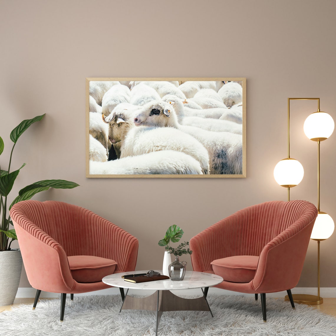 Sheep Print, Sheep Photography, Animal Print, Sheep Photo Print, Sheep ...