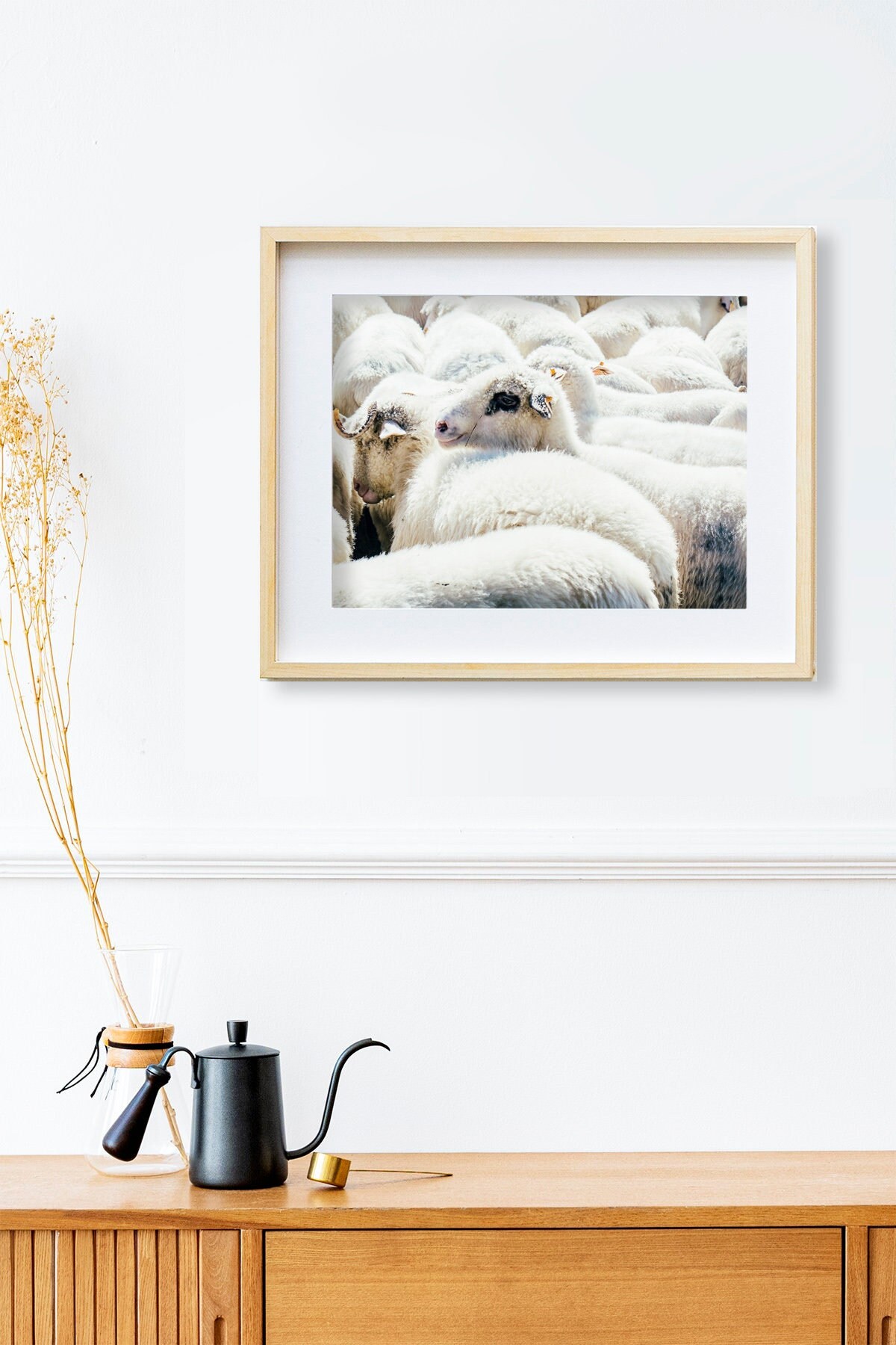 Sheep Print, Sheep Photography, Animal Print, Sheep Photo Print, Sheep ...