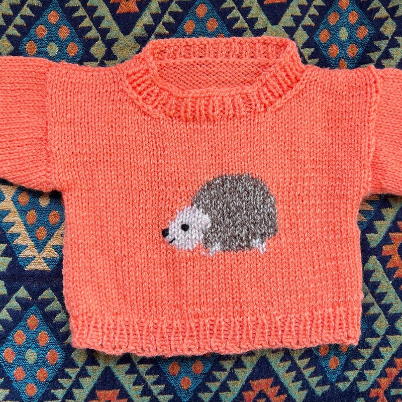 Hedgehog Baby Outfit - Etsy UK