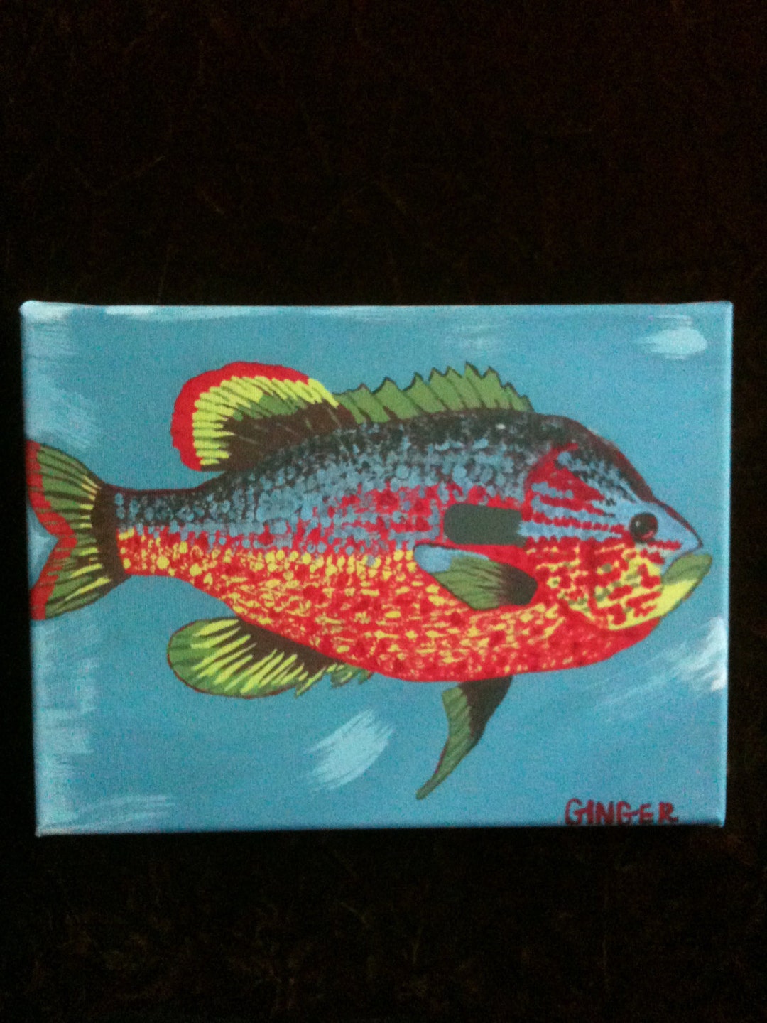 Gulf Sunfish Portrait by French Quarter Artist Ginger - Etsy