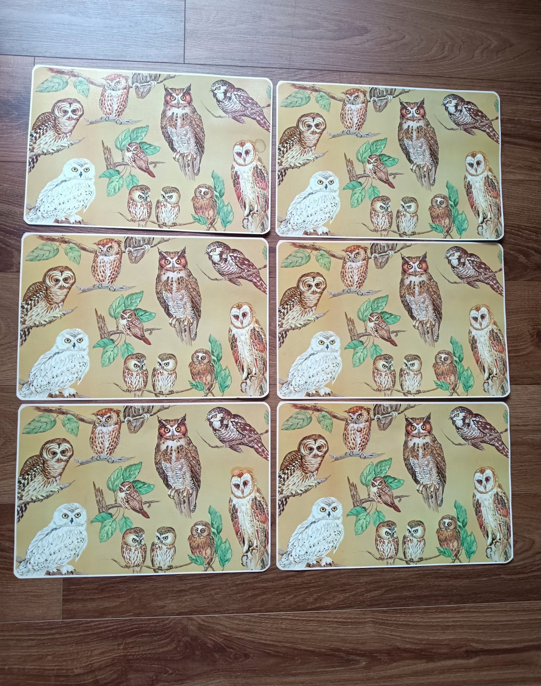 6 Paper Owl Placemats, READ, Vintage Home Decor, Screech Owl, Barred ...