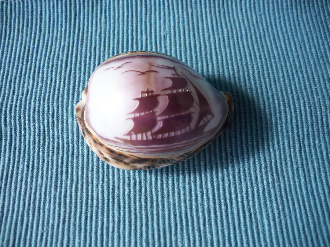 Carved Shell Sailing Ship Elephant Carved Elephant Seashell Carved ...