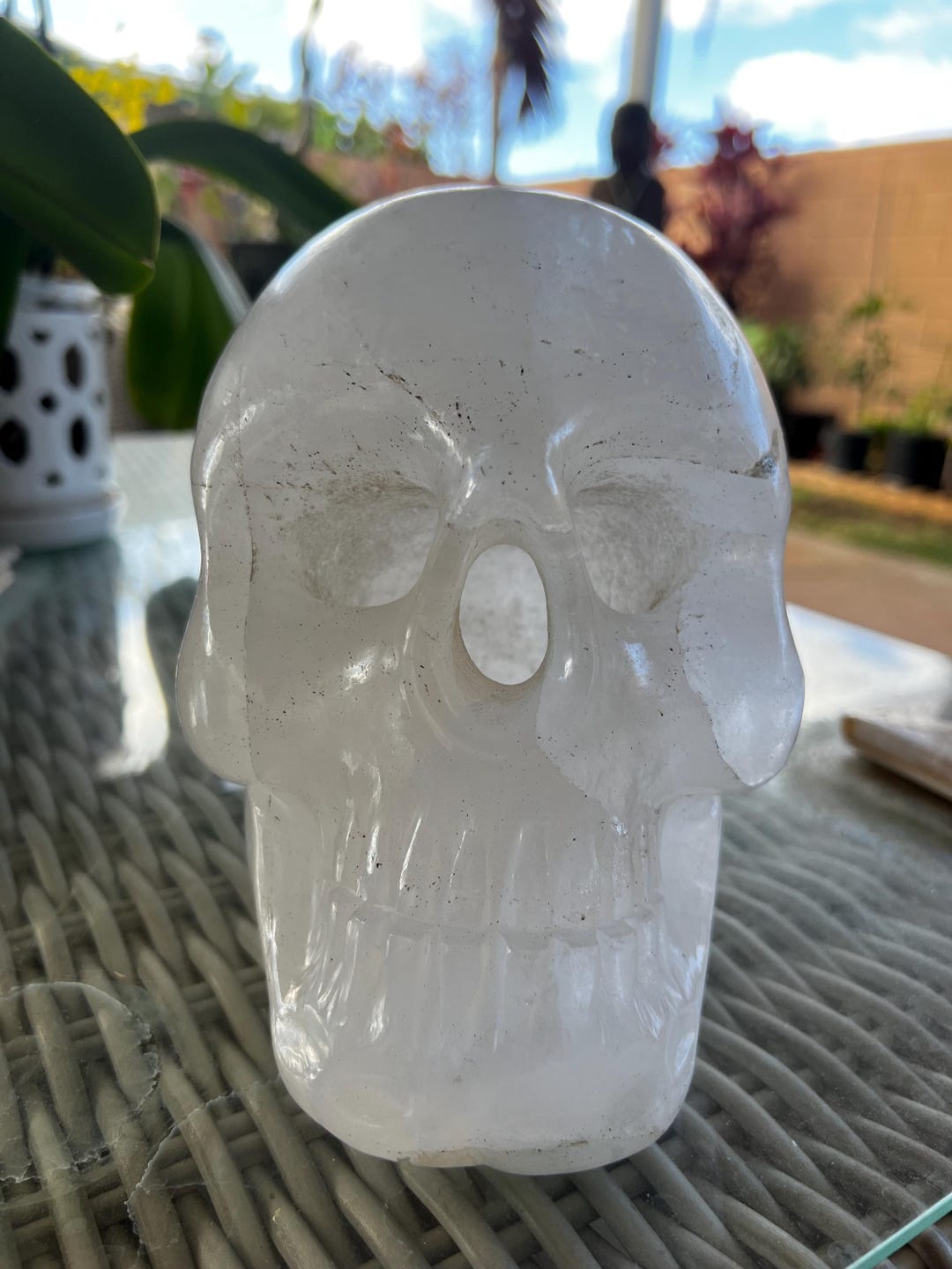 New Earth Crystal Skull - Etsy
