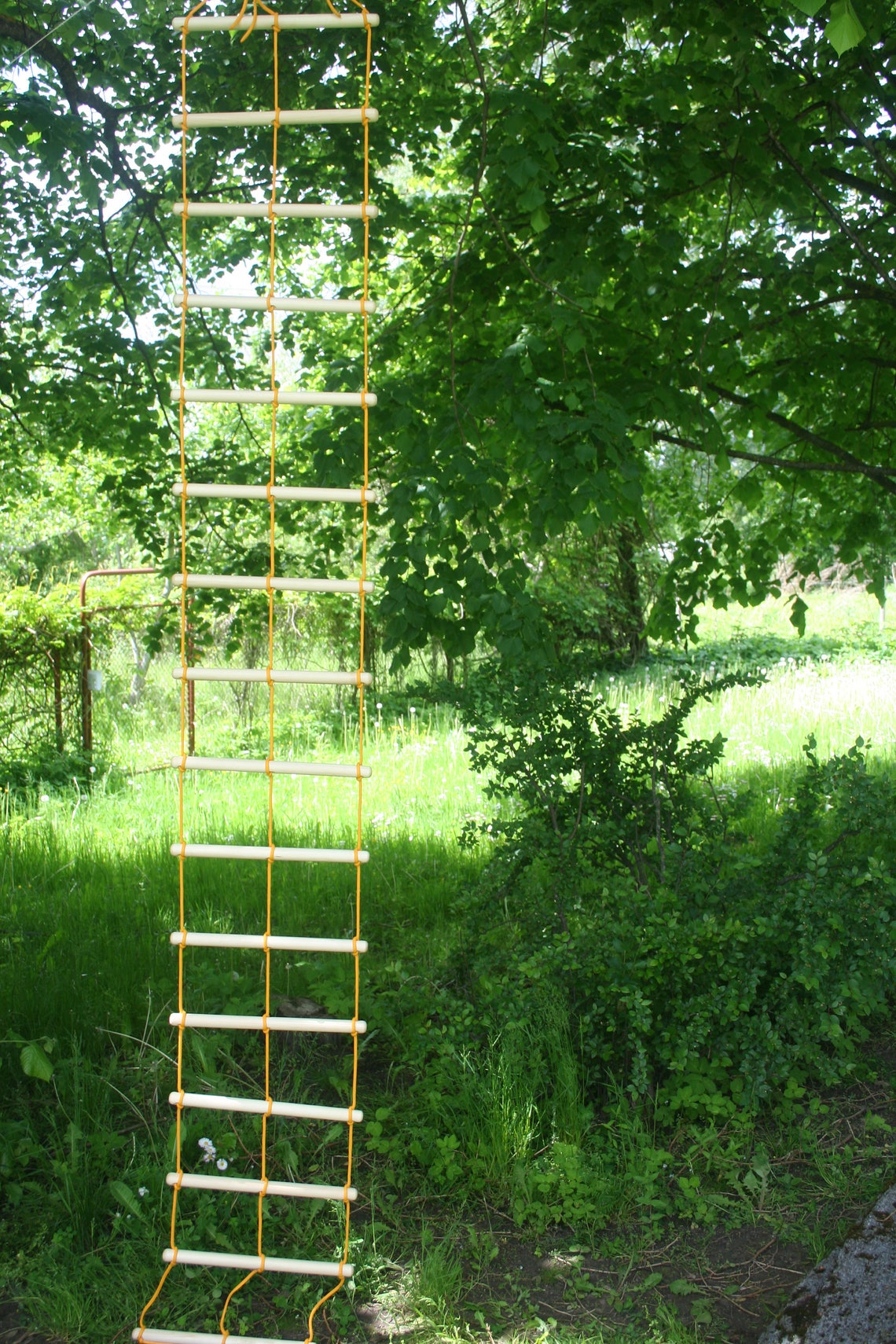 Double Wide Climbing Ladder | Etsy