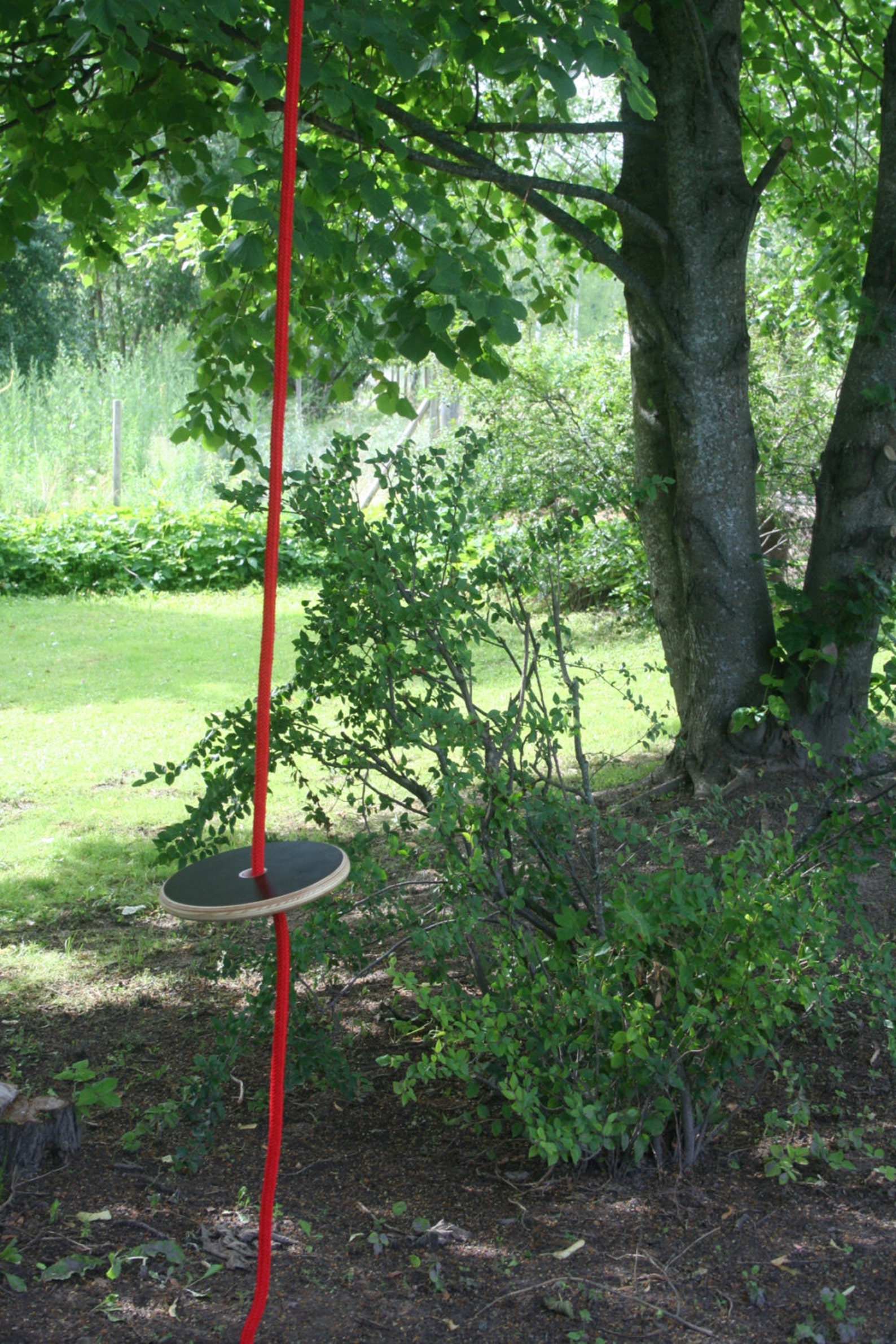 Tree Swing, Wood Rope Swing, Playground, Disc Swing, Circle Swing ...