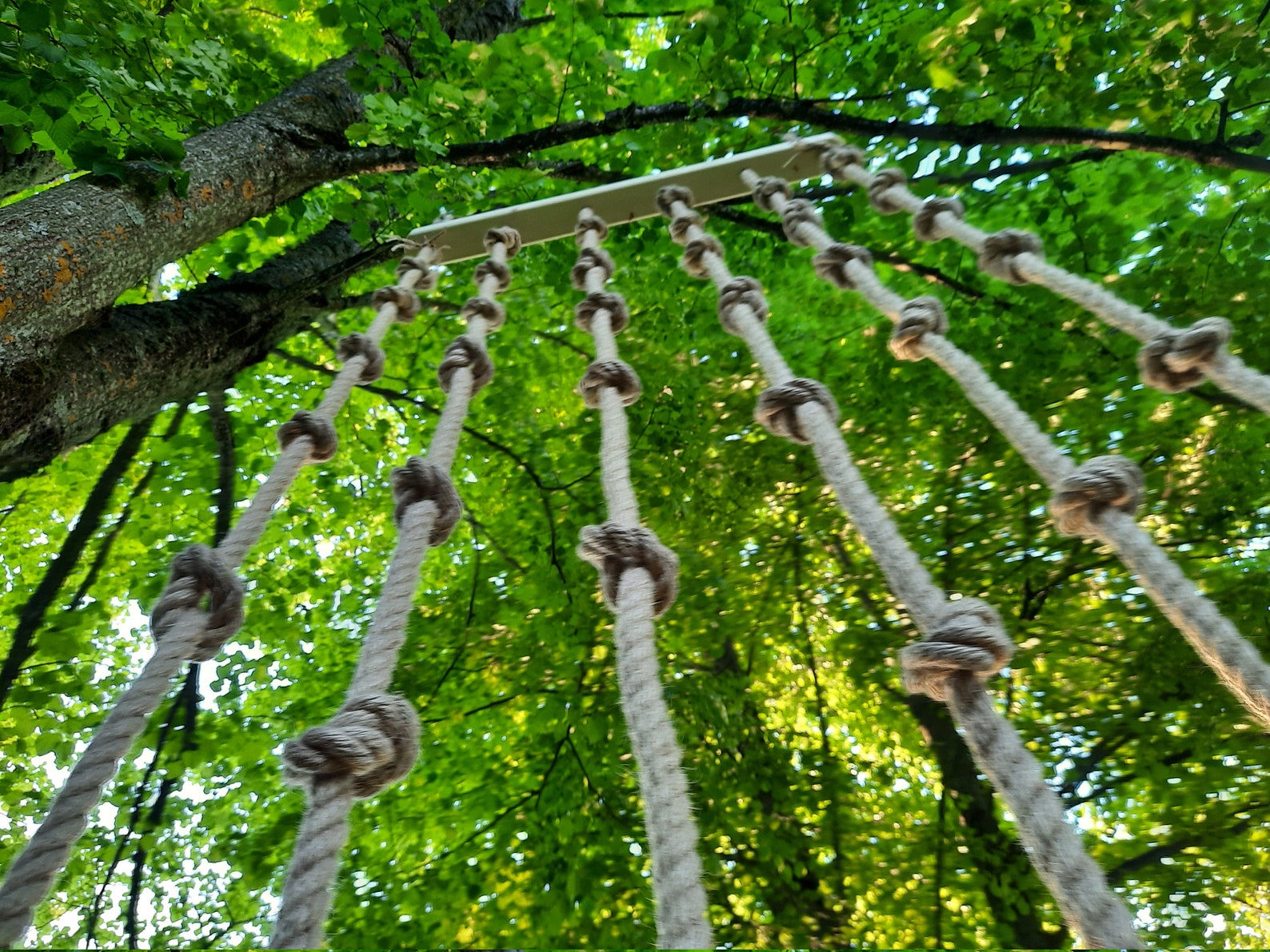 Climbing Rope Wall, Row of Climbing Ropes With Knots - Etsy