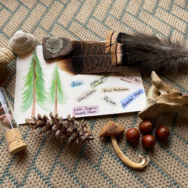 Naturalist - Etsy