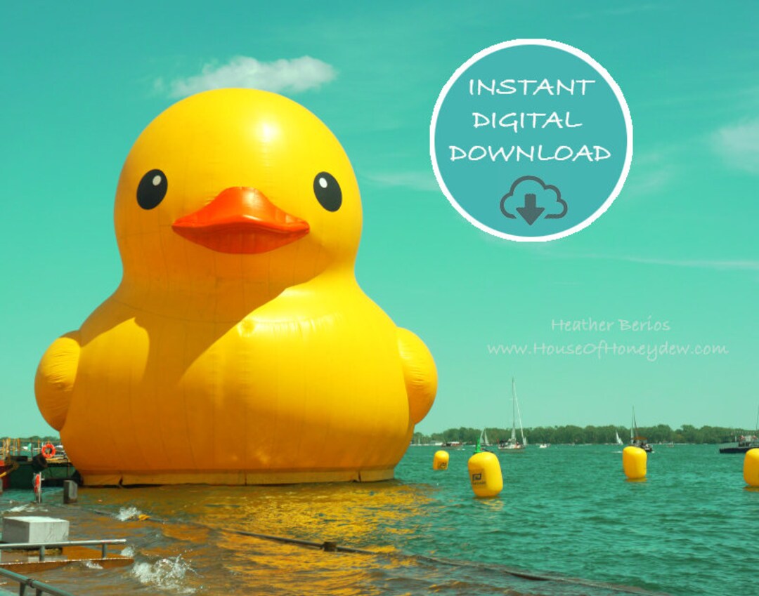 Digital Download - Giant Rubber Yellow Duckie Duck Photography Canada 150 - Etsy