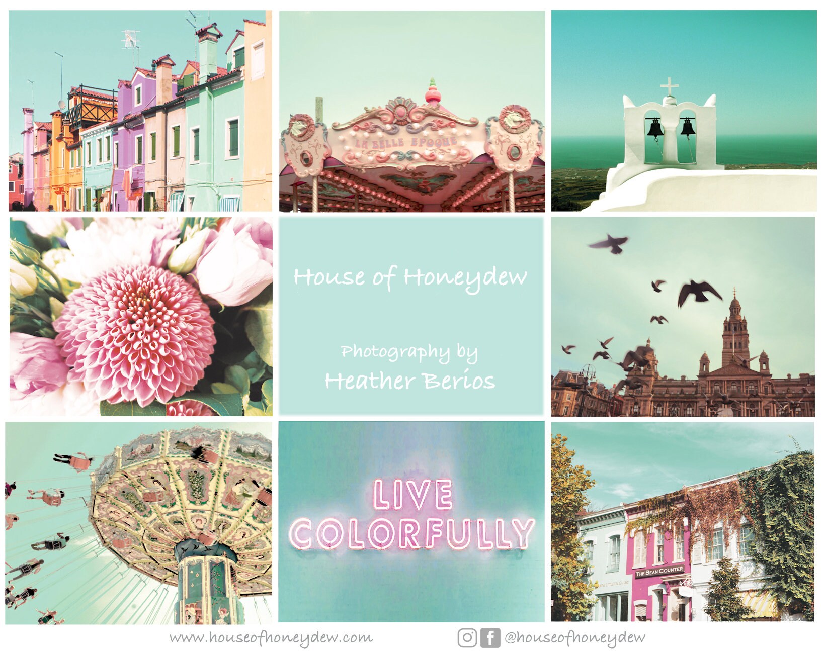 Photography Neon Sign Art Live Colorfully Sign Wall Decor - Etsy Canada