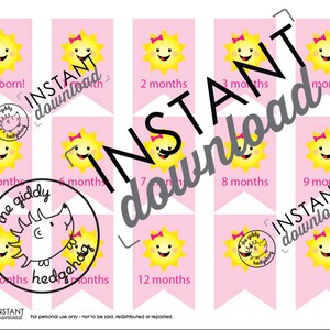 Printable DIY Sunshine Party Decorations Monthly Numbers Sun Baby Photo ...