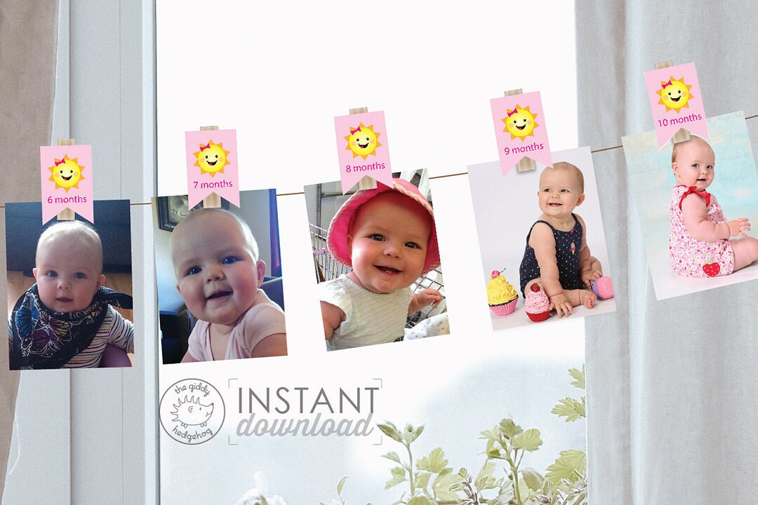 Sunshine Party Decorations Monthly Numbers Sun Baby Photo Display ...