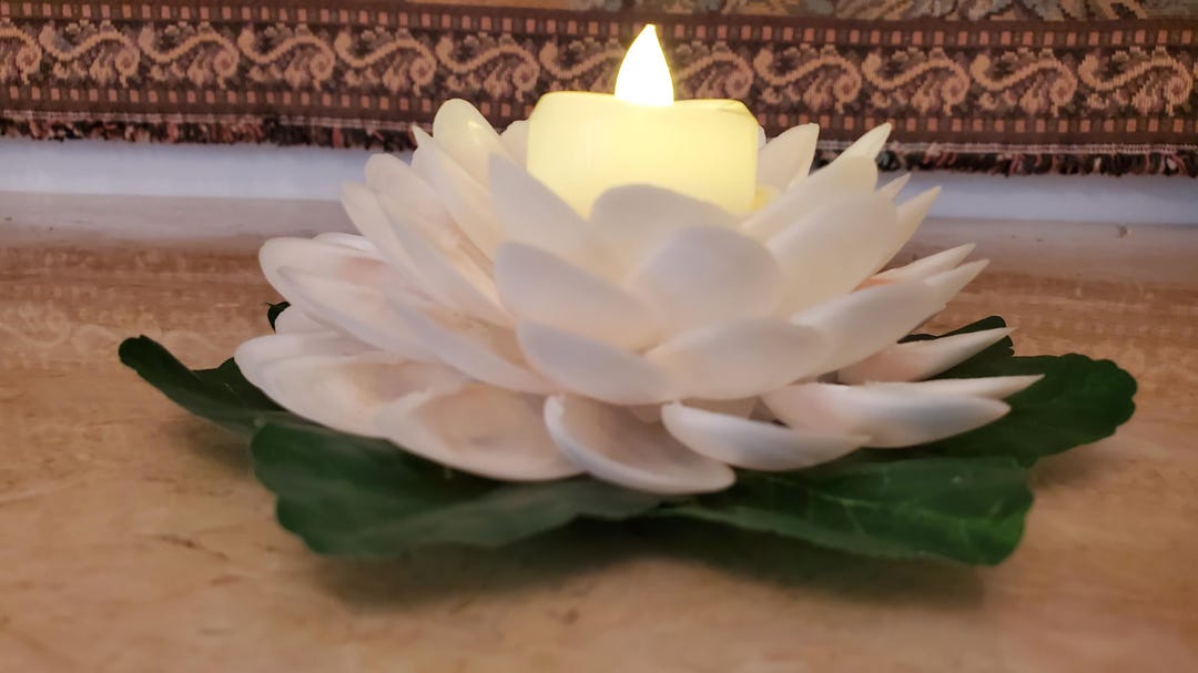 White Seashell Water Lily Tea Light - Etsy