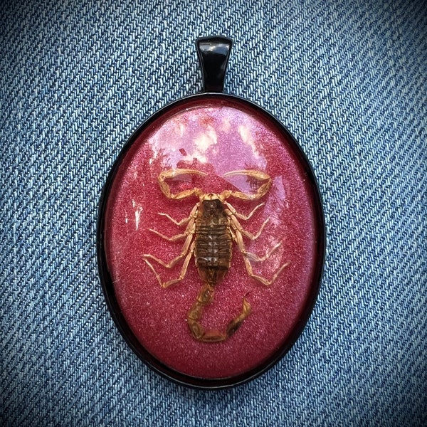 Scorpion Glow in Dark Necklace - Etsy