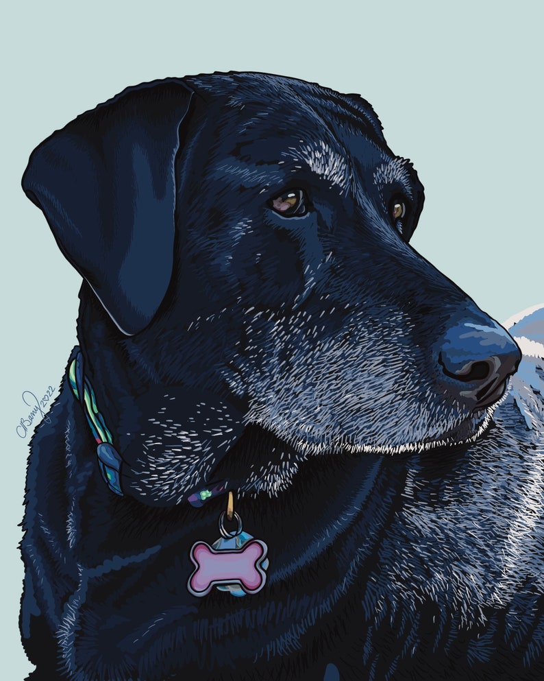 Custom Pet Illustration Cartoon Portrait, Digital, Printable Art ...