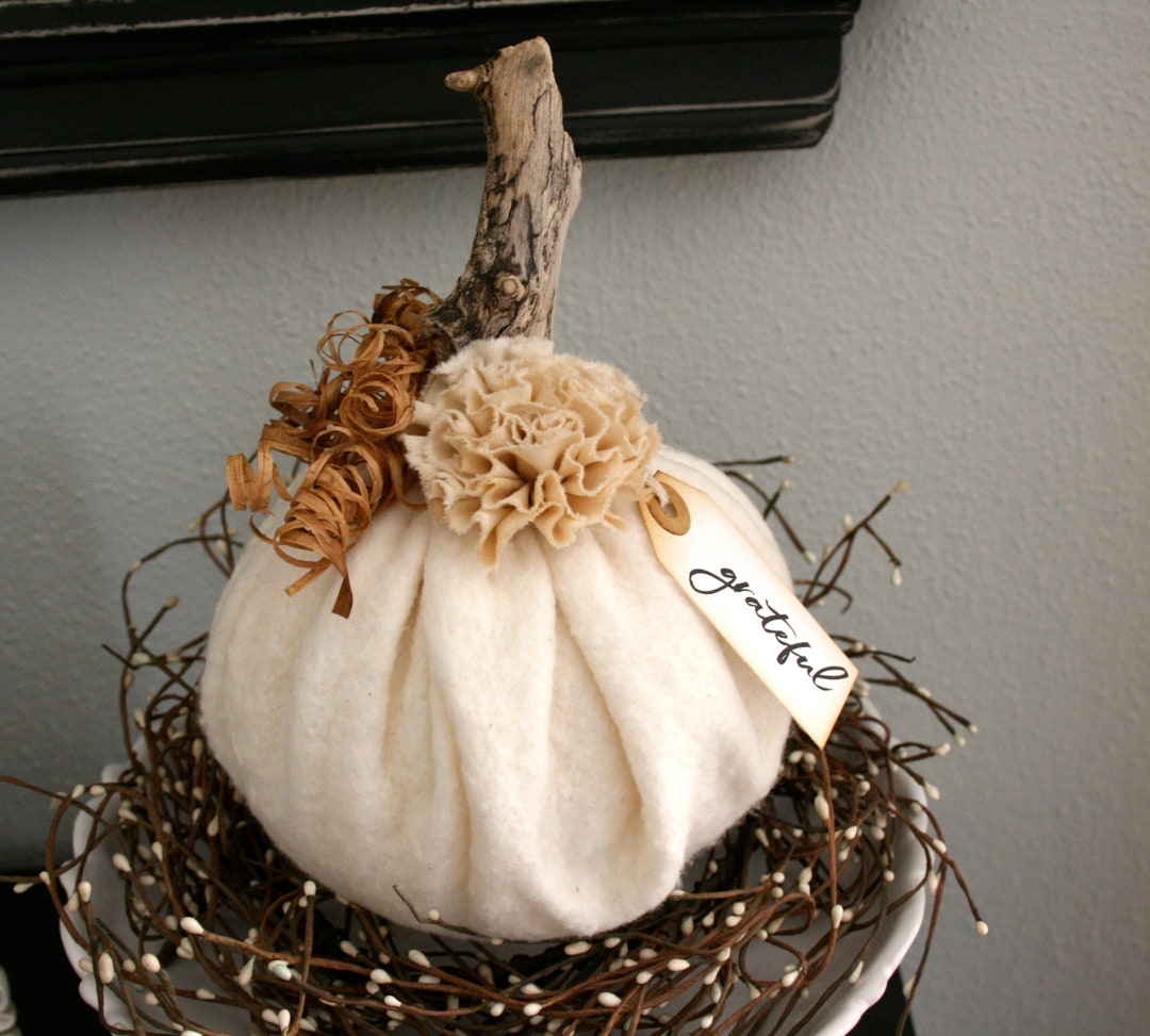 Beige Pumpkin, Grateful Pumpkin, Pumpkin Decor, Plush Pumpkin, Fabric ...
