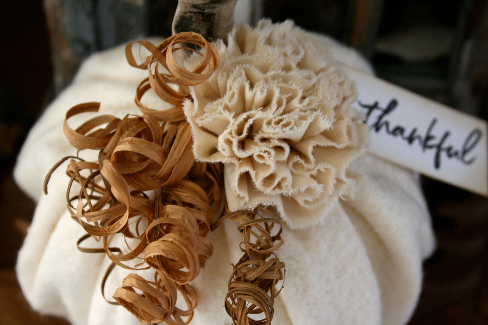 Pumpkin Decor Plush Pumpkin Beige Pumpkin Thankful Pumpkin | Etsy