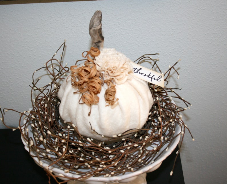 Pumpkin Decor Plush Pumpkin Beige Pumpkin Thankful Pumpkin | Etsy