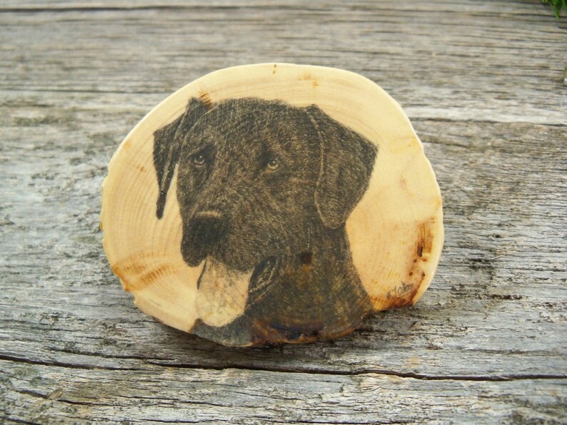 Rustic Jewelry Box Featuring a Black Labrador. Wooden Jewelry - Etsy