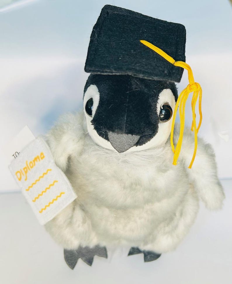 Graduation Penguin Plush With Cap and Diploma (6" Tall) - Etsy