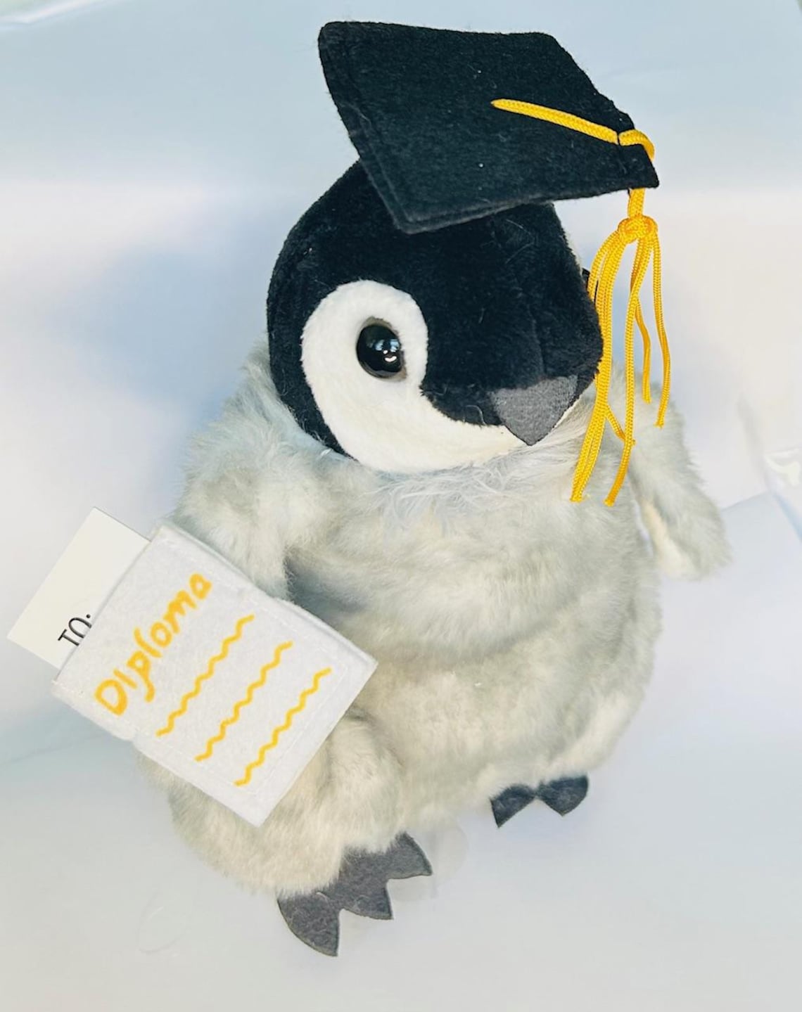 Graduation Penguin Plush With Cap and Diploma (6" Tall) - Etsy