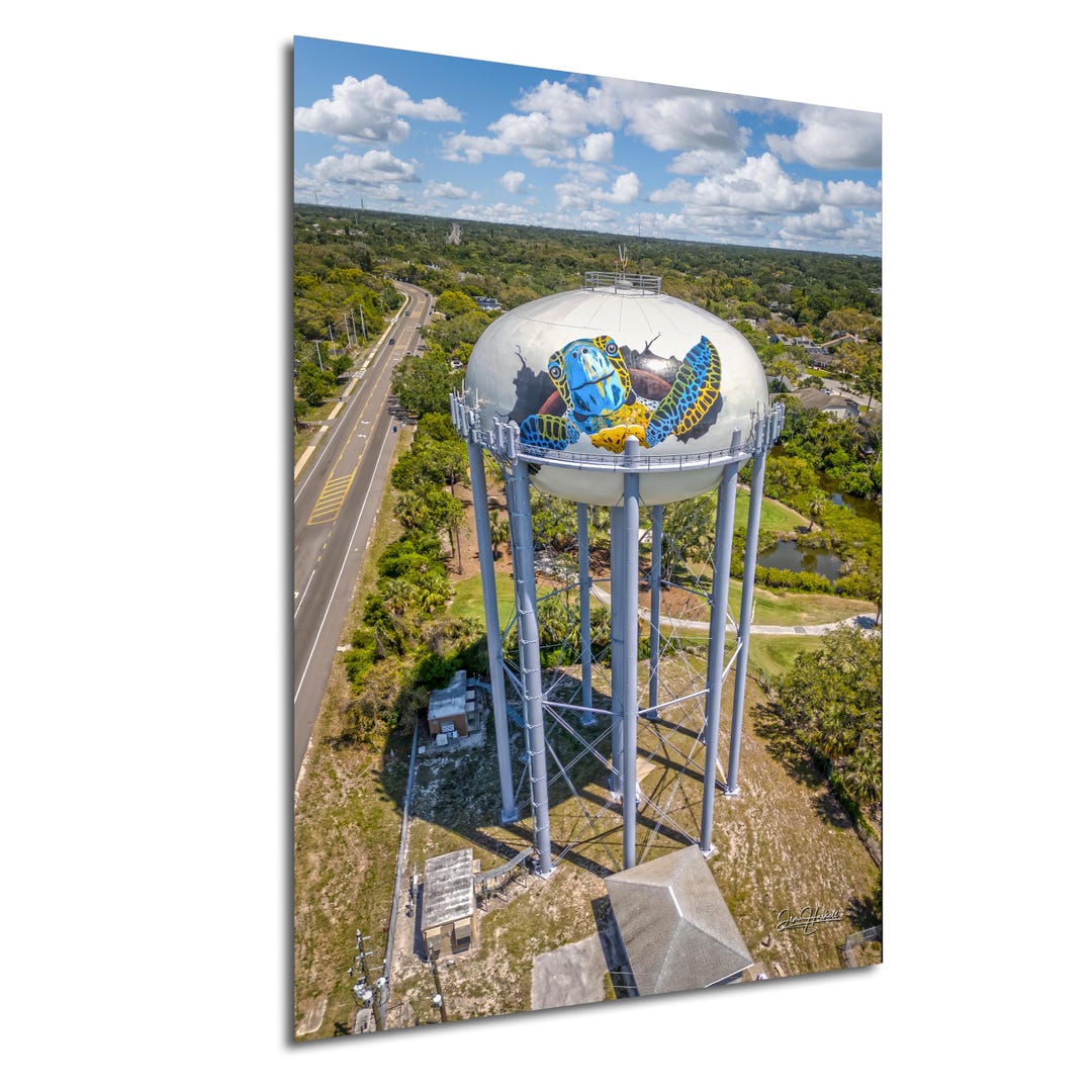 Dunedin Water Tower Turtle Florida Photo Print Georgia Aquarium Mural ...