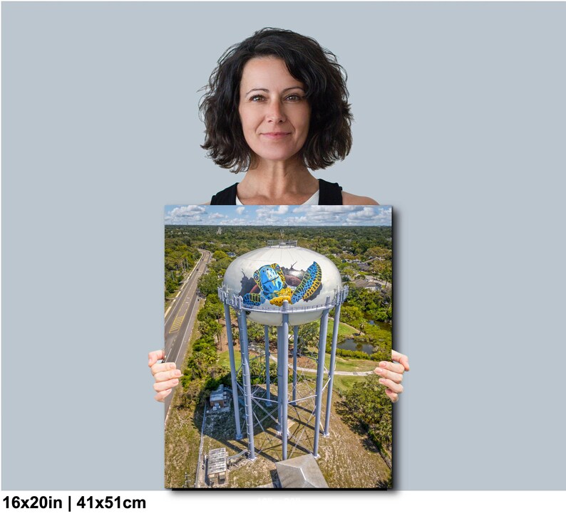 Dunedin Water Tower Turtle Florida Photo Print Georgia Aquarium Mural ...