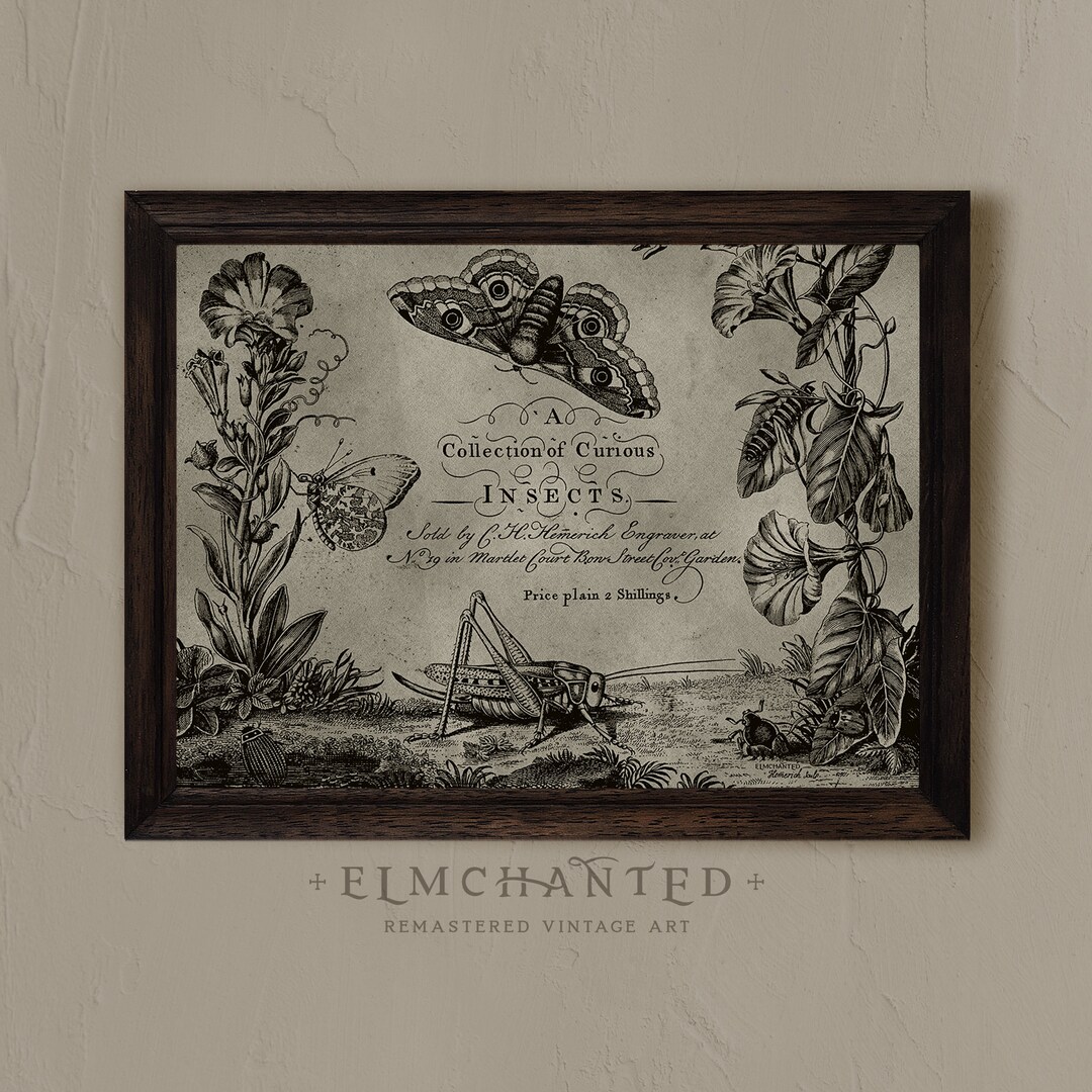 A Collection of Curious Insects | Vintage Academia Print, Cottagecore ...