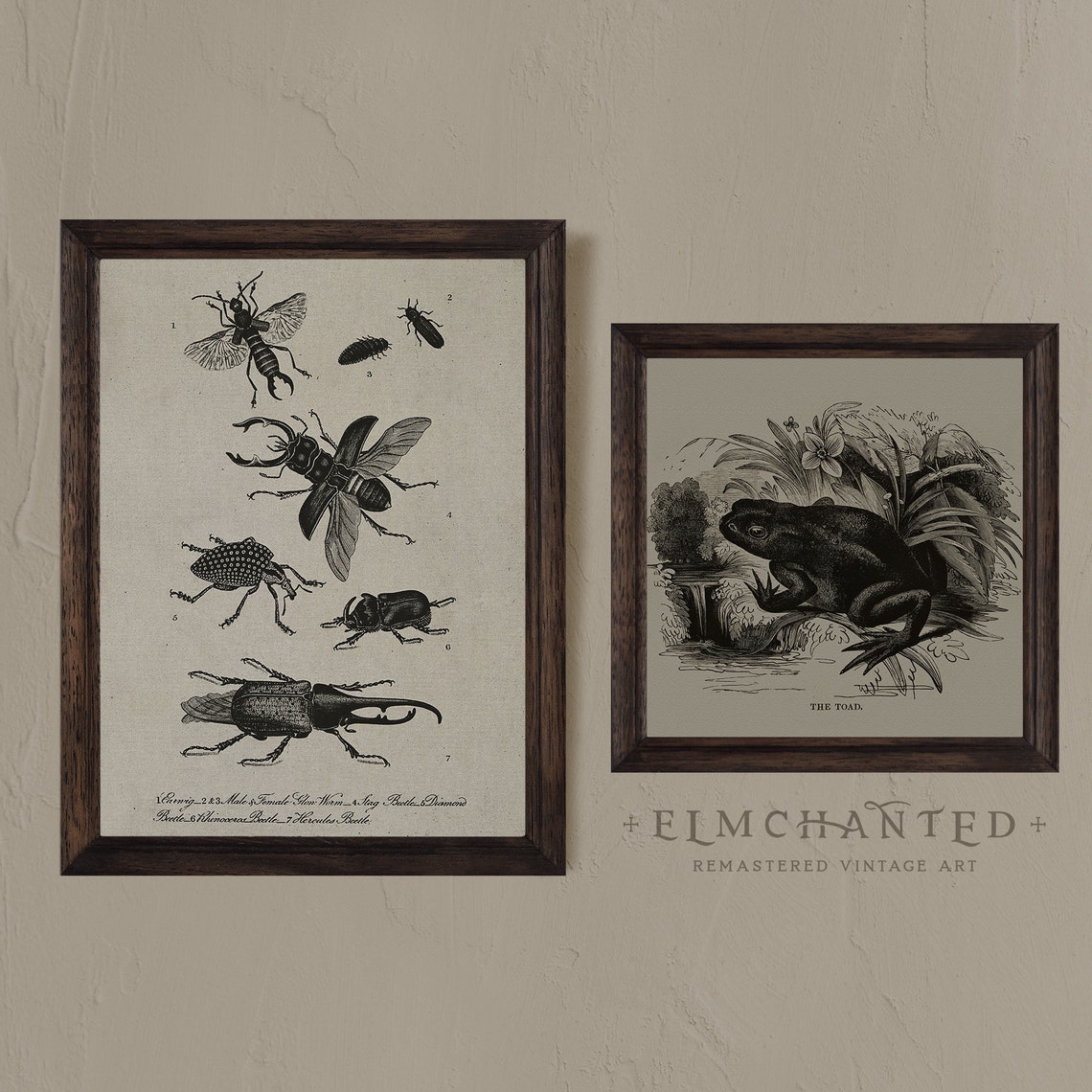 Set of 6 Vintage Dark Academia Prints Vintage Room Decor Aesthetic ...