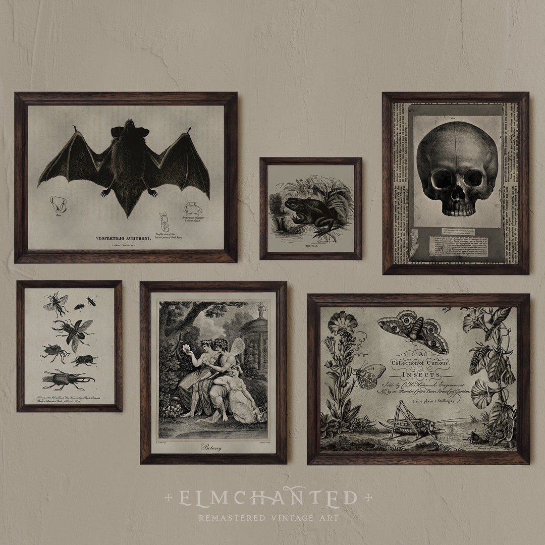 Set of 6 Vintage Dark Academia Prints | Vintage Room Decor Aesthetic ...